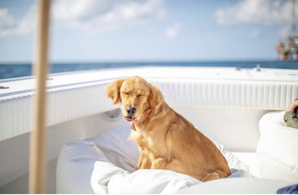 Quality – Ocean-Tamer